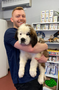 Sleaford Vets In Sleaford | Vets In Lincolnshire